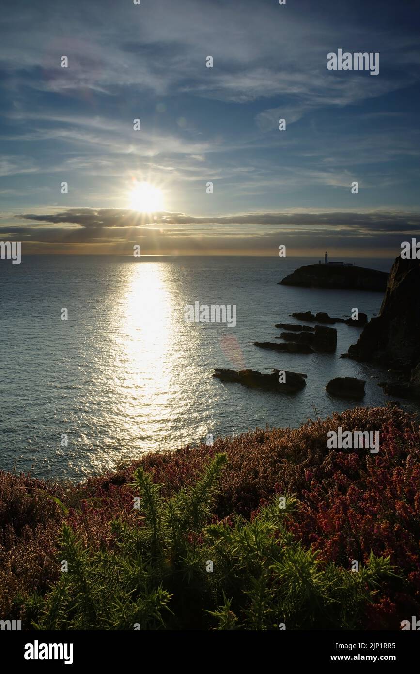 South Stack Lighthouse, Holyhead, Anglesey, North Wales Stock Photo - Alamy
