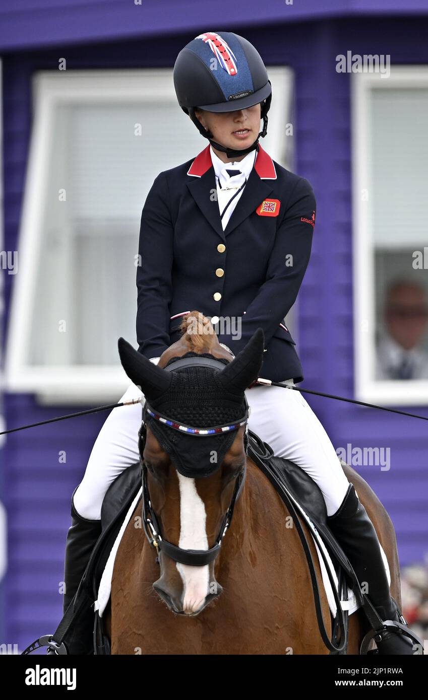 Georgia wilson dressage hi-res stock photography and images - Alamy