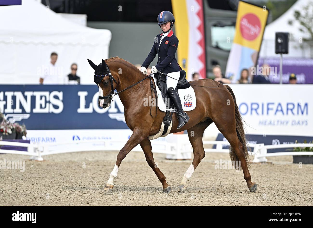 Herning, Denmark. 14th Aug, 2022. World Equestrian Games. Georgia ...