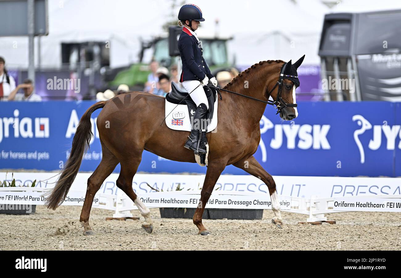 Herning, Denmark. 14th Aug, 2022. World Equestrian Games. Georgia ...