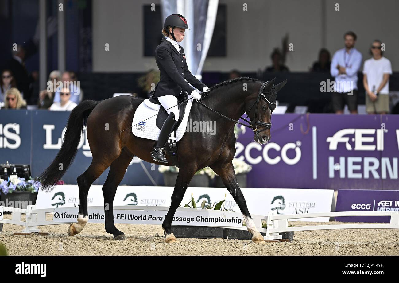 Herning, Denmark. 14th Aug, 2022. World Equestrian Games. Katrine ...