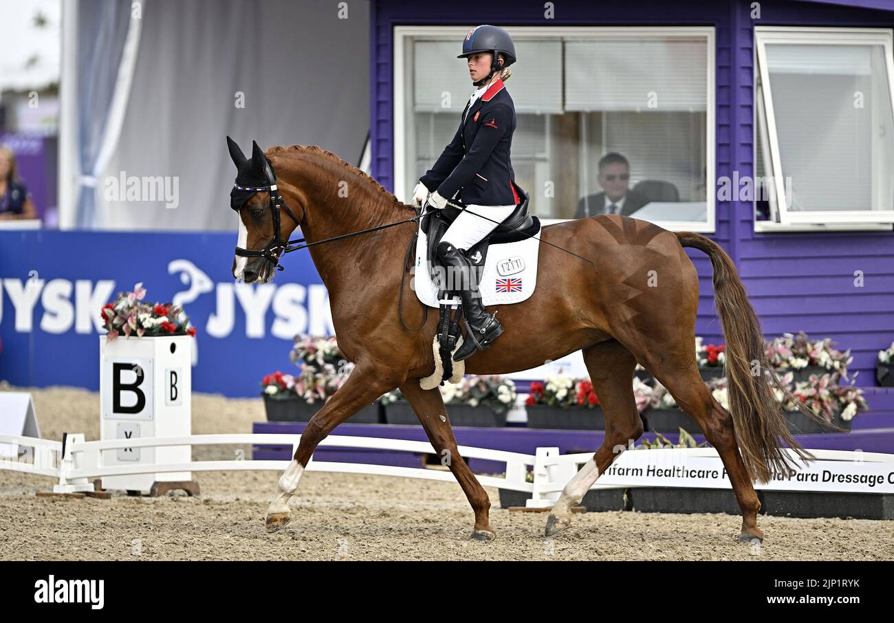 Herning, Denmark. 14th Aug, 2022. World Equestrian Games. Georgia ...