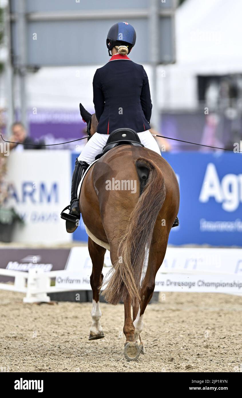 Georgia wilson sakura hi-res stock photography and images - Alamy