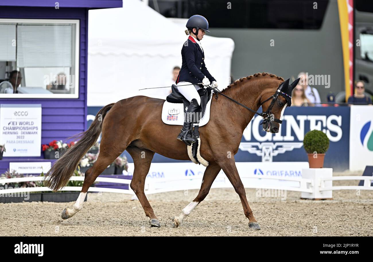 Herning, Denmark. 14th Aug, 2022. World Equestrian Games. Georgia ...