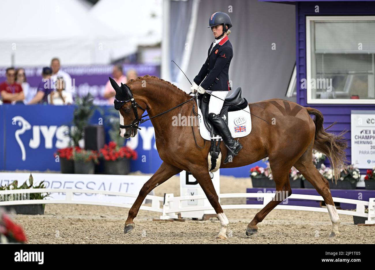Herning, Denmark. 14th Aug, 2022. World Equestrian Games. Georgia ...
