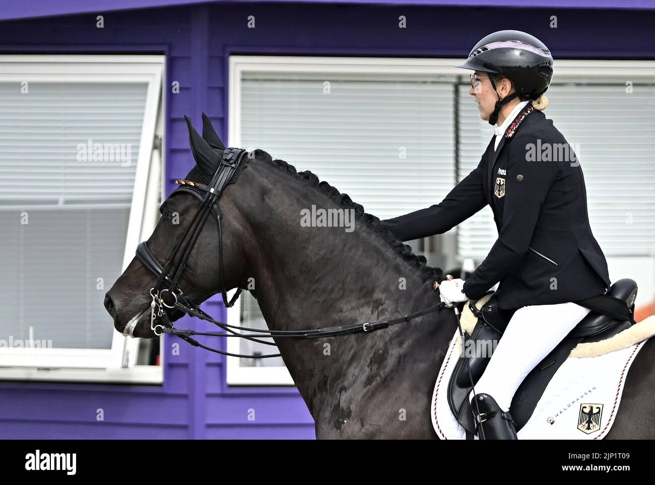 Herning, Denmark. 14th Aug, 2022. World Equestrian Games. Gianna ...