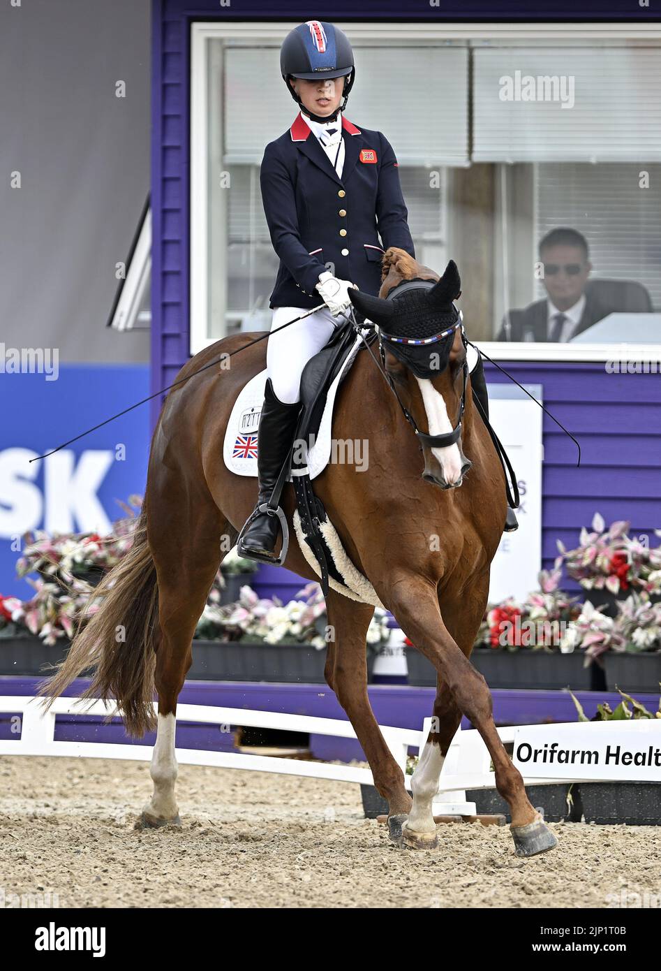 Herning, Denmark. 14th Aug, 2022. World Equestrian Games. Georgia ...