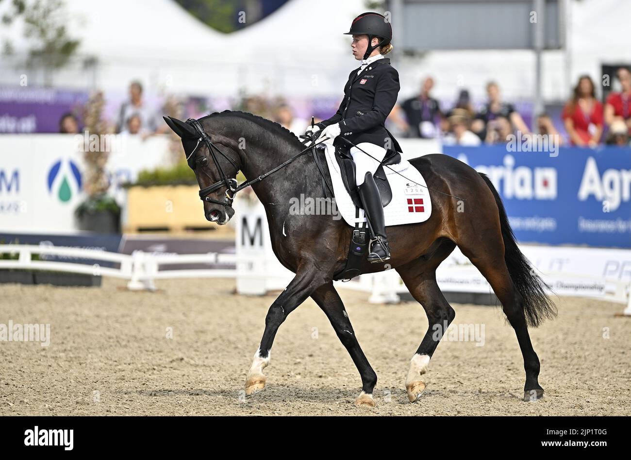 Herning, Denmark. 14th Aug, 2022. World Equestrian Games. Katrine ...