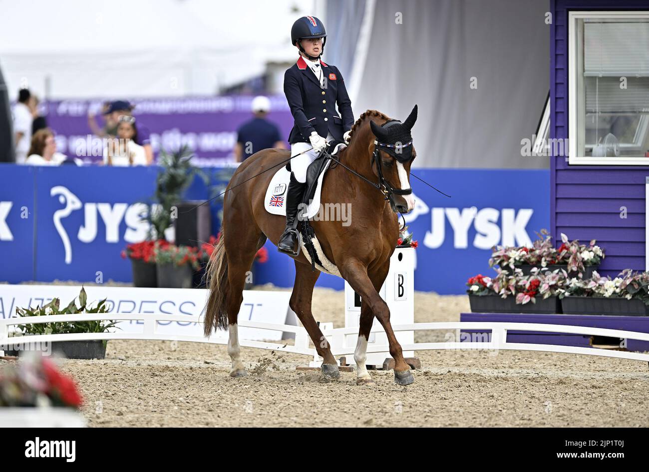 Herning, Denmark. 14th Aug, 2022. World Equestrian Games. Georgia ...