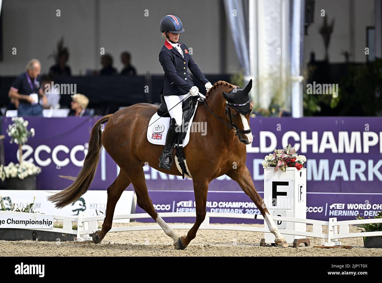 Herning, Denmark. 14th Aug, 2022. World Equestrian Games. Georgia ...