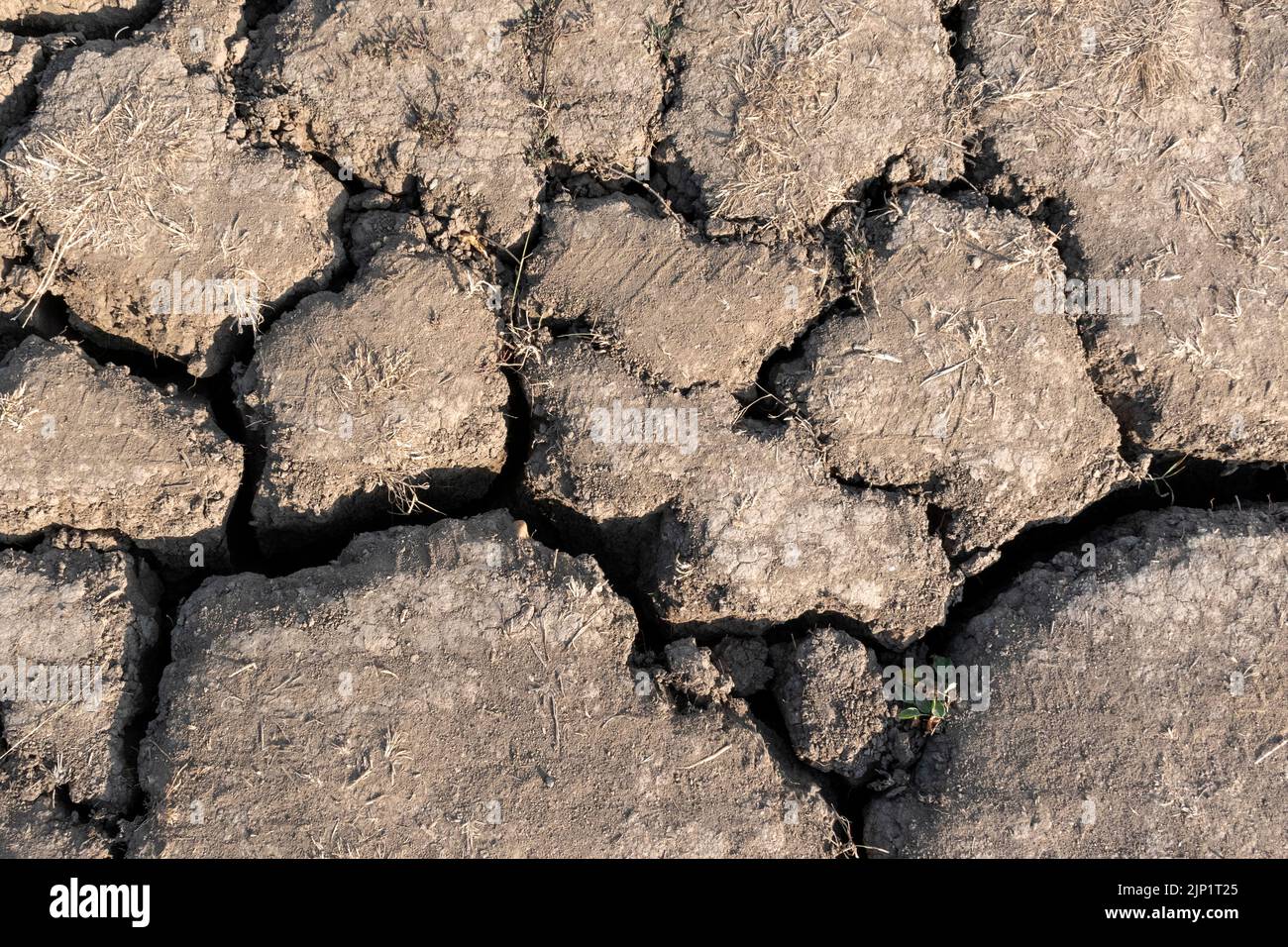 Soil soils hi-res stock photography and images - Alamy