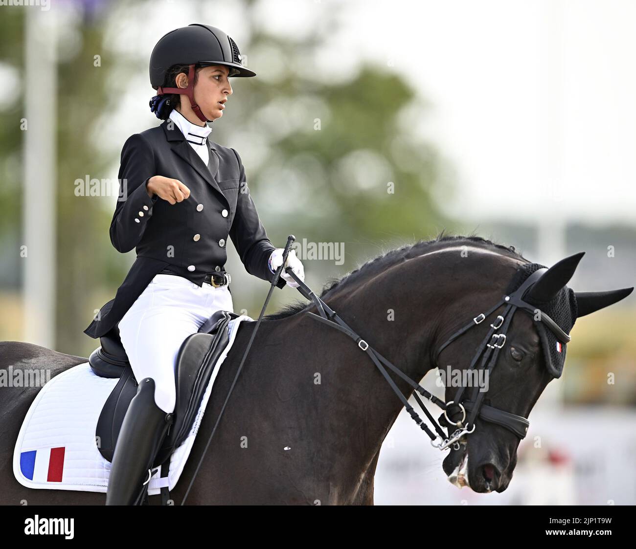 Herning, Denmark. 14th Aug, 2022. World Equestrian Games. Chiara Zenati ...