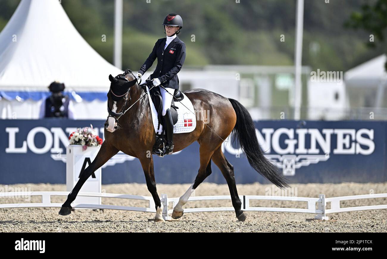 Herning, Denmark. 14th Aug, 2022. World Equestrian Games. Karla Dyhm ...