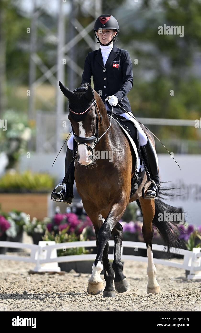 Herning. Denmark. 14 August 2022. World Equestrian Games. Karla Dyhm ...