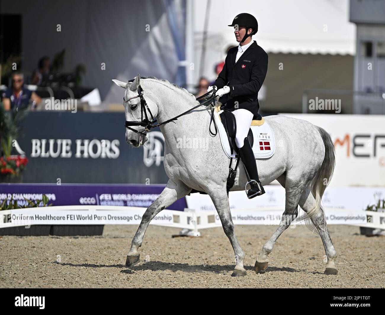 Herning, Denmark. 14th Aug, 2022. World Equestrian Games. Tobias ...
