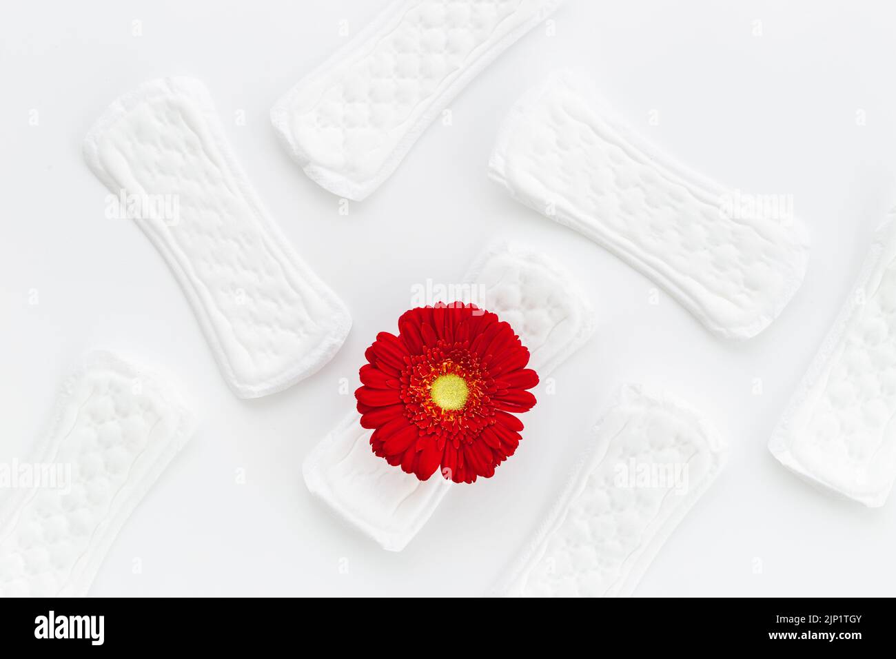 White panty liners with red flower. Menstruation period and daily ...