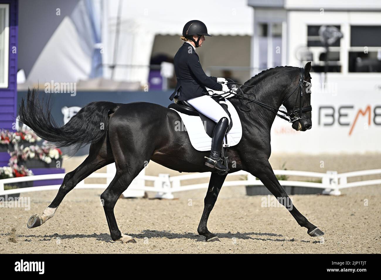 Herning, Denmark. 14th Aug, 2022. World Equestrian Games. Stine ...