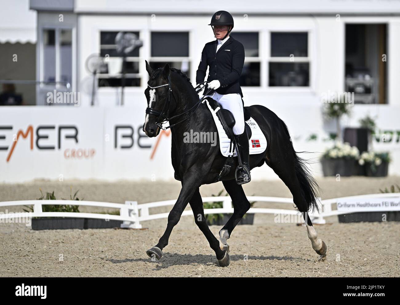 Herning, Denmark. 14th Aug, 2022. World Equestrian Games. Stine ...