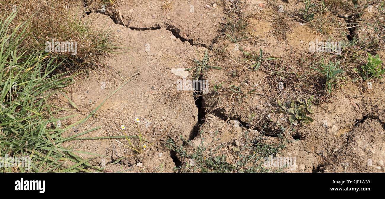 Brown parched grass earth ground dry hi-res stock photography and ...