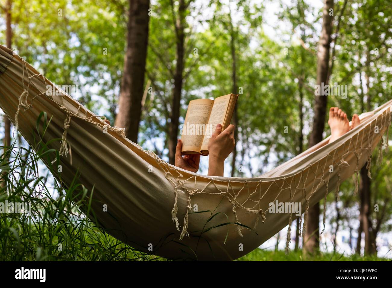 Reading in a hammock hi-res stock photography and images - Alamy