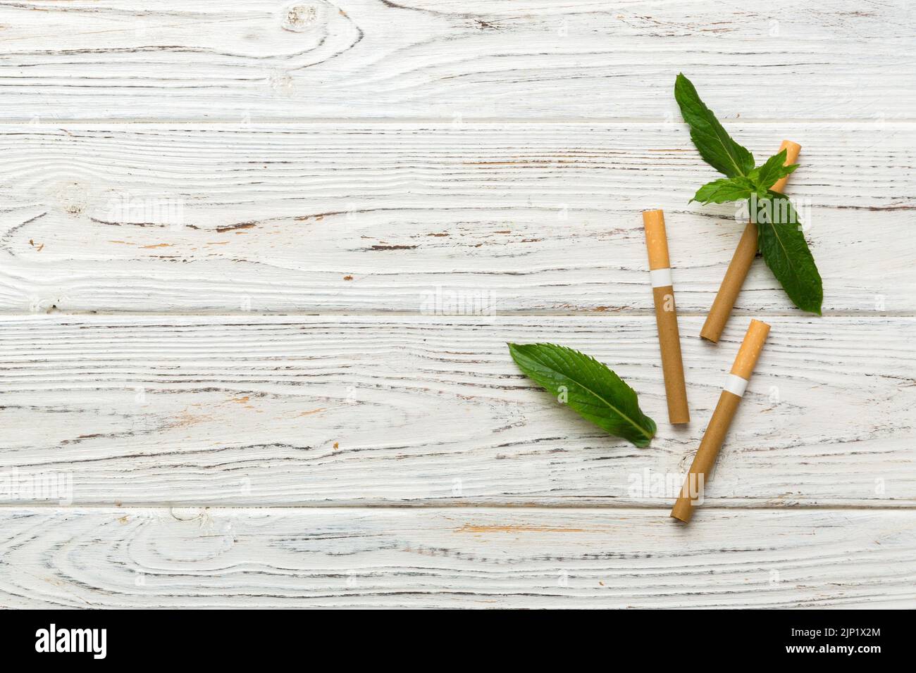 Menthol cigarettes and fresh mint leaves on colored background, Many ...