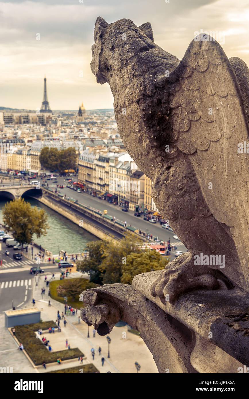 Gargoyle on Notre Dame de Paris cathedral top, France. Medieval ...