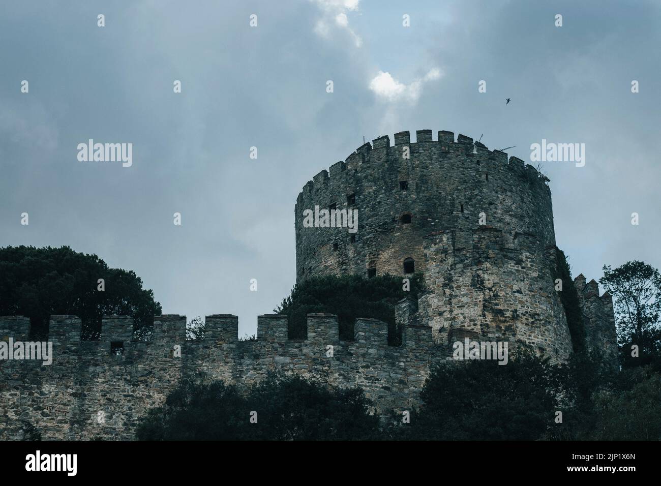 Old castle. Ruins of castle Stock Photo - Alamy