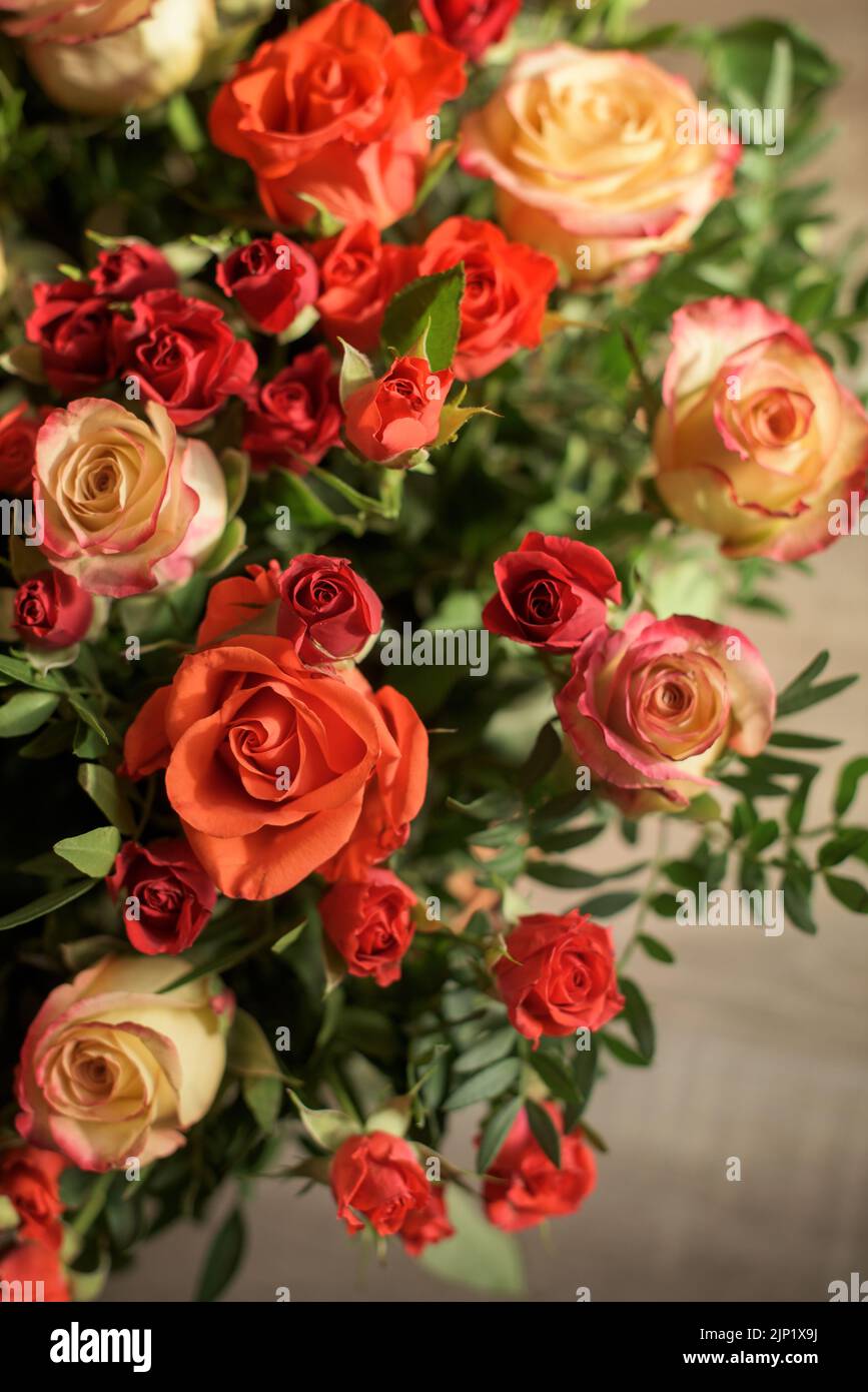 Bouquet of red, orange and yellow roses- a composition of multi ...