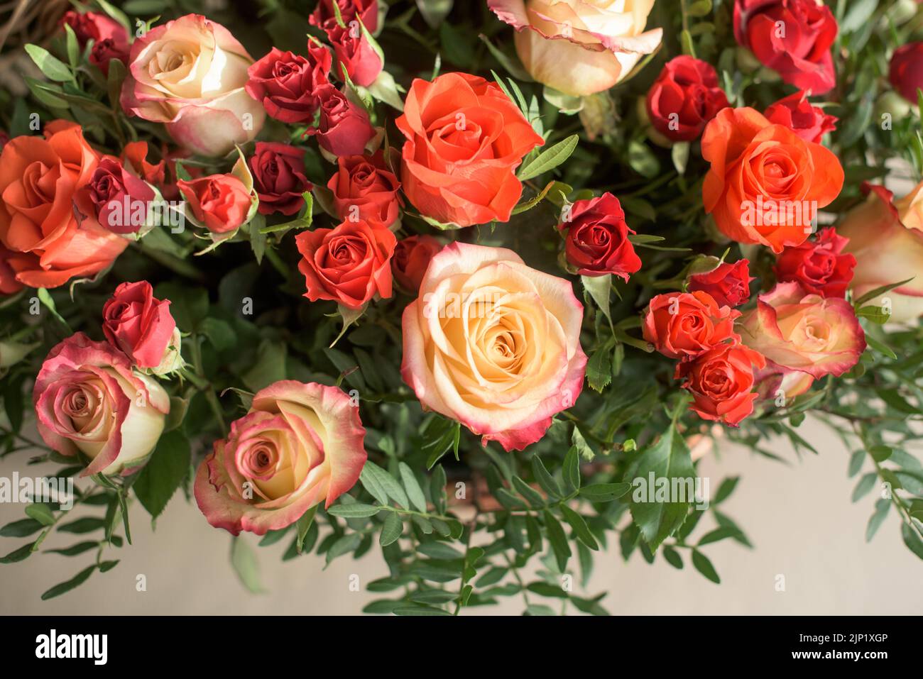Bouquet of red, orange, yellow roses- a composition of multi-colored ...