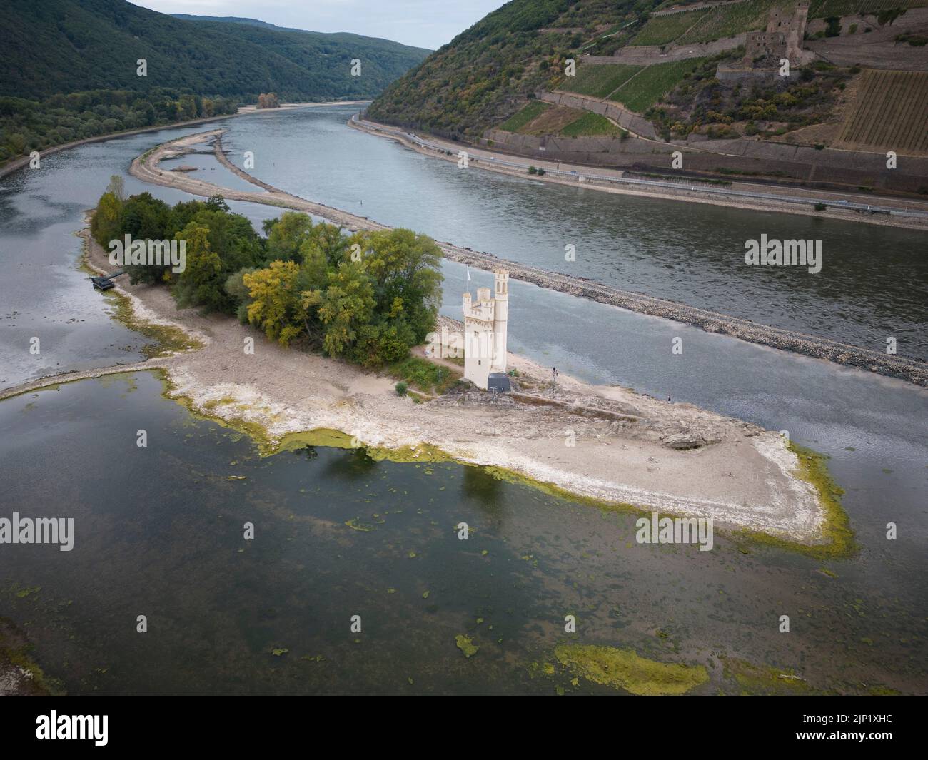 Bingen, Germany. 15th Aug, 2022. Huge sandbanks have become visible in ...