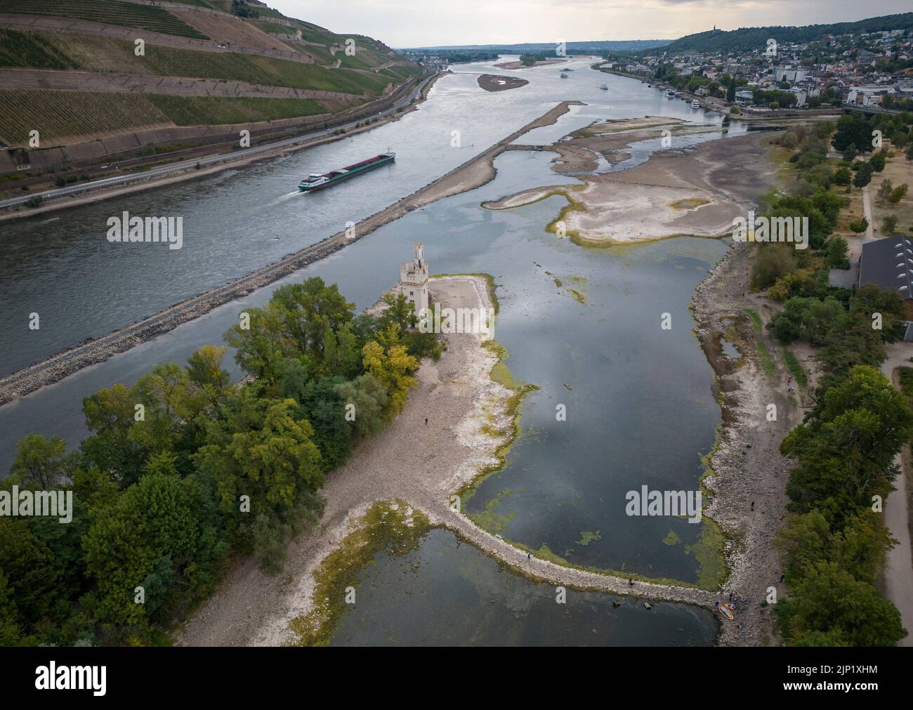 Bingen, Germany. 15th Aug, 2022. After weeks of drought, water levels ...