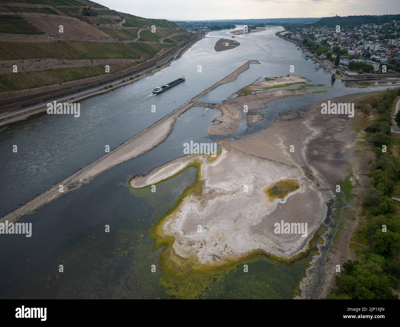 Bingen, Germany. 15th Aug, 2022. Huge sandbanks have become visible in ...