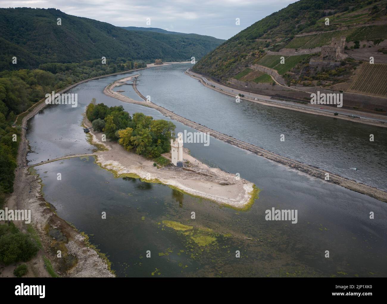 Bingen, Germany. 15th Aug, 2022. Huge sandbanks have become visible in ...