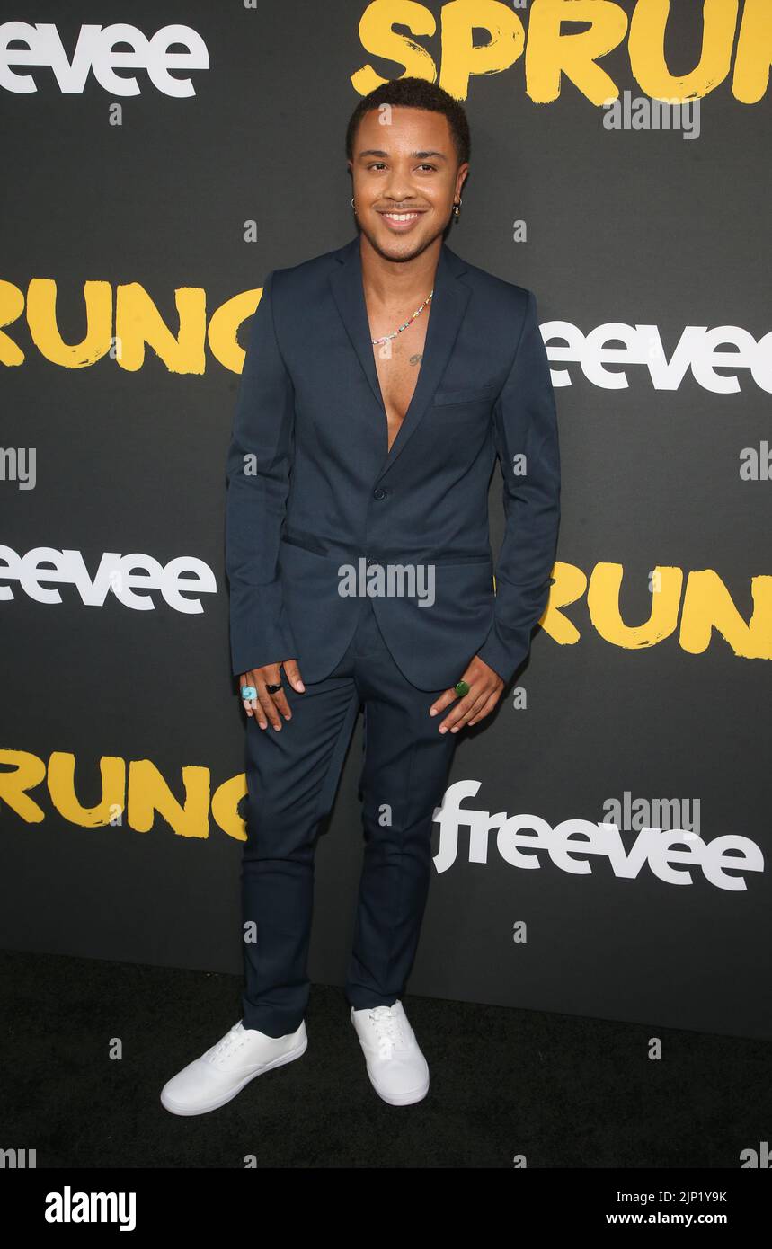Los Angele, Ca. 14th Aug, 2022. Andre Jamal Kinney at the red carpet ...