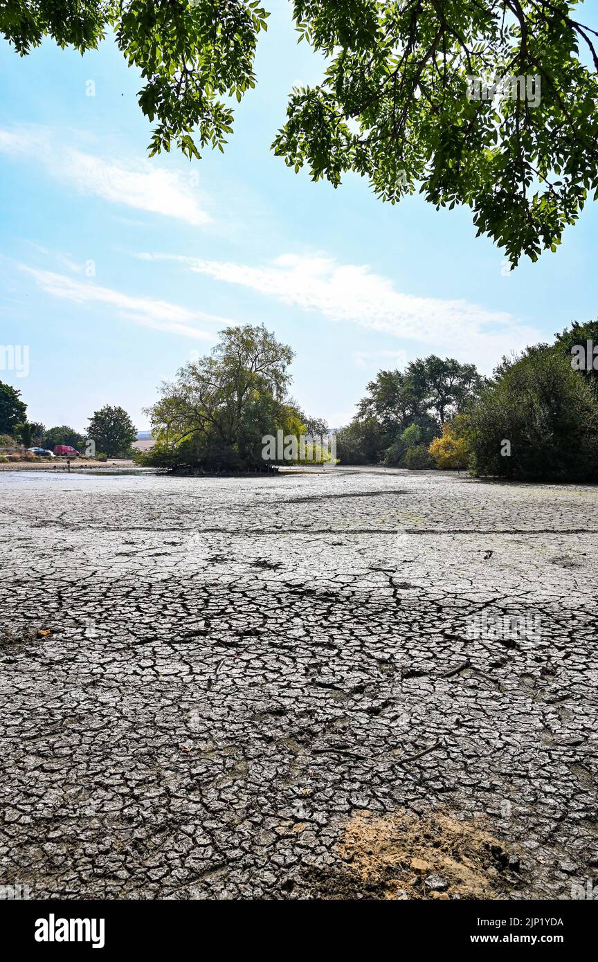 Brighton, UK. 15th Aug, 2022. The ancient Saxon pond at Falmer village ...