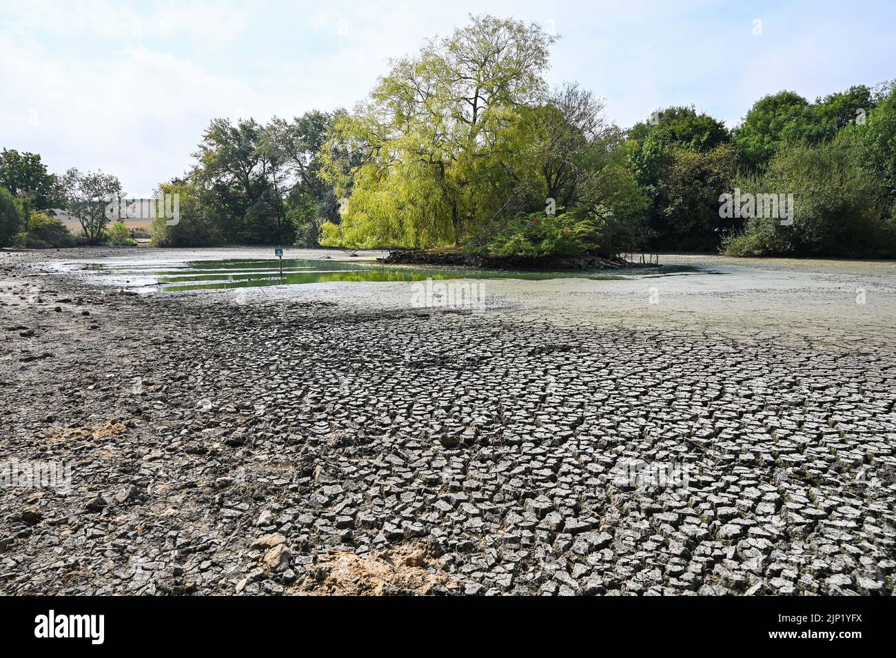 Brighton, UK. 15th Aug, 2022. The ancient Saxon pond at Falmer village ...