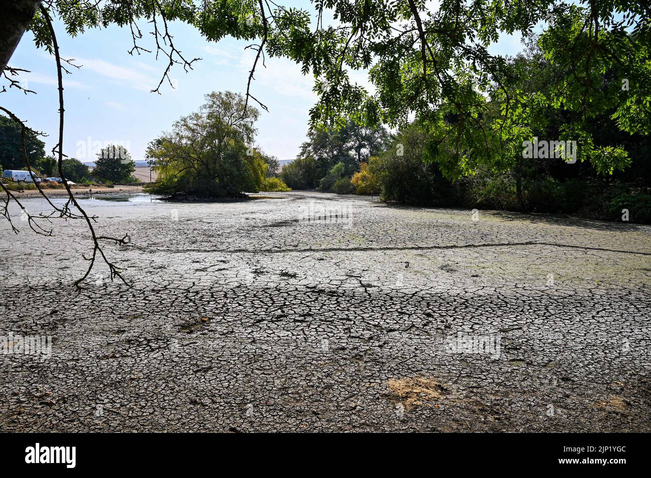 Brighton, UK. 15th Aug, 2022. The ancient Saxon pond at Falmer village ...