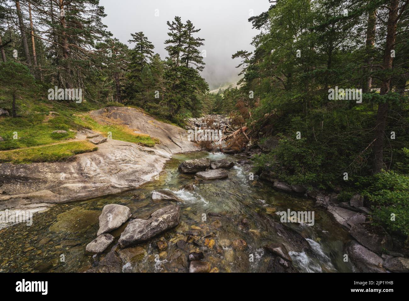 Natural landscapes of the lake, forest and mountains in the French ...