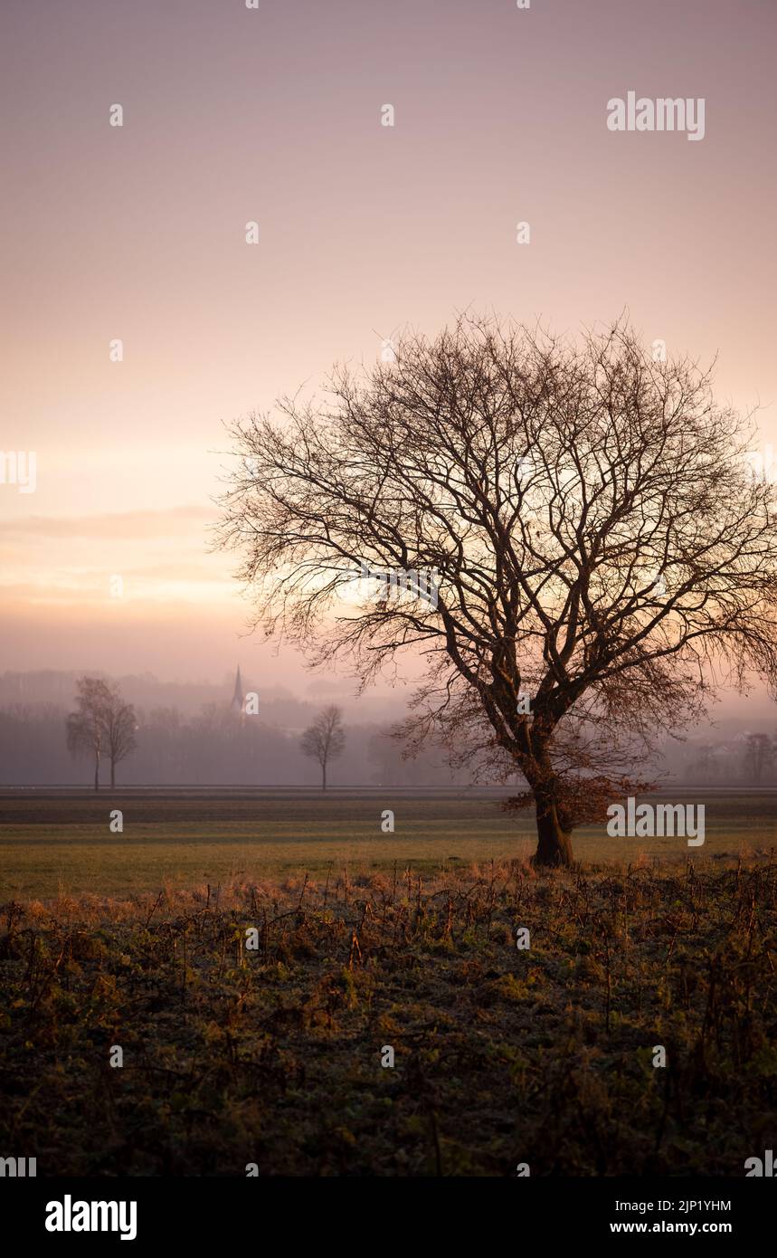 Sonnenaufgang landscape hi-res stock photography and images - Alamy