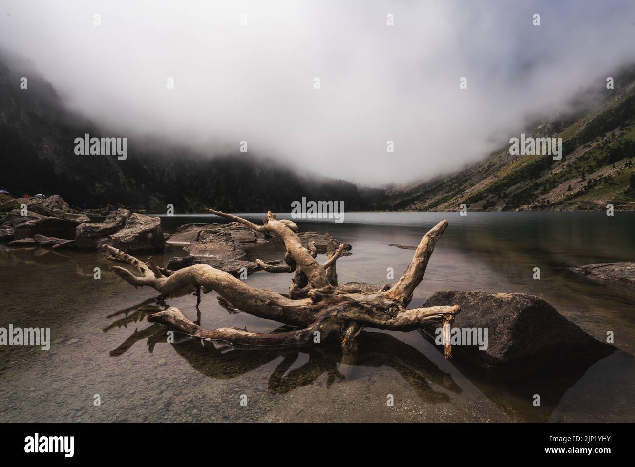 Natural landscapes of the lake, forest and mountains in the French ...