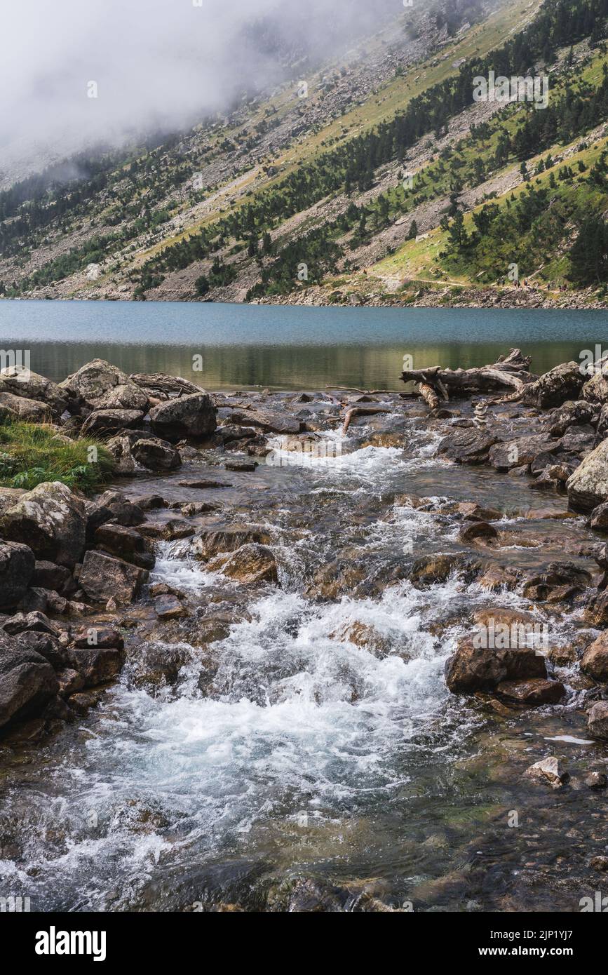 Natural landscapes of the lake, forest and mountains in the French ...