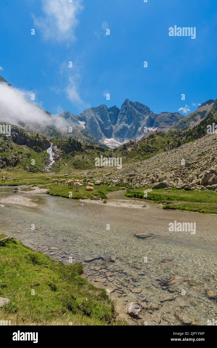 Natural landscapes of the lake, forest and mountains in the French ...