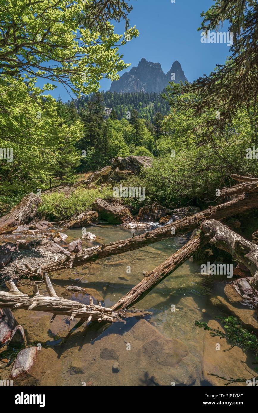 Natural landscapes of the lake, forest and mountains in the French ...