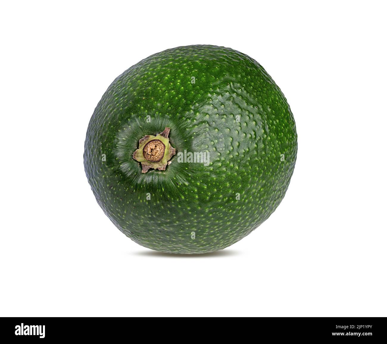 Avocado isolated on white background Stock Photo - Alamy
