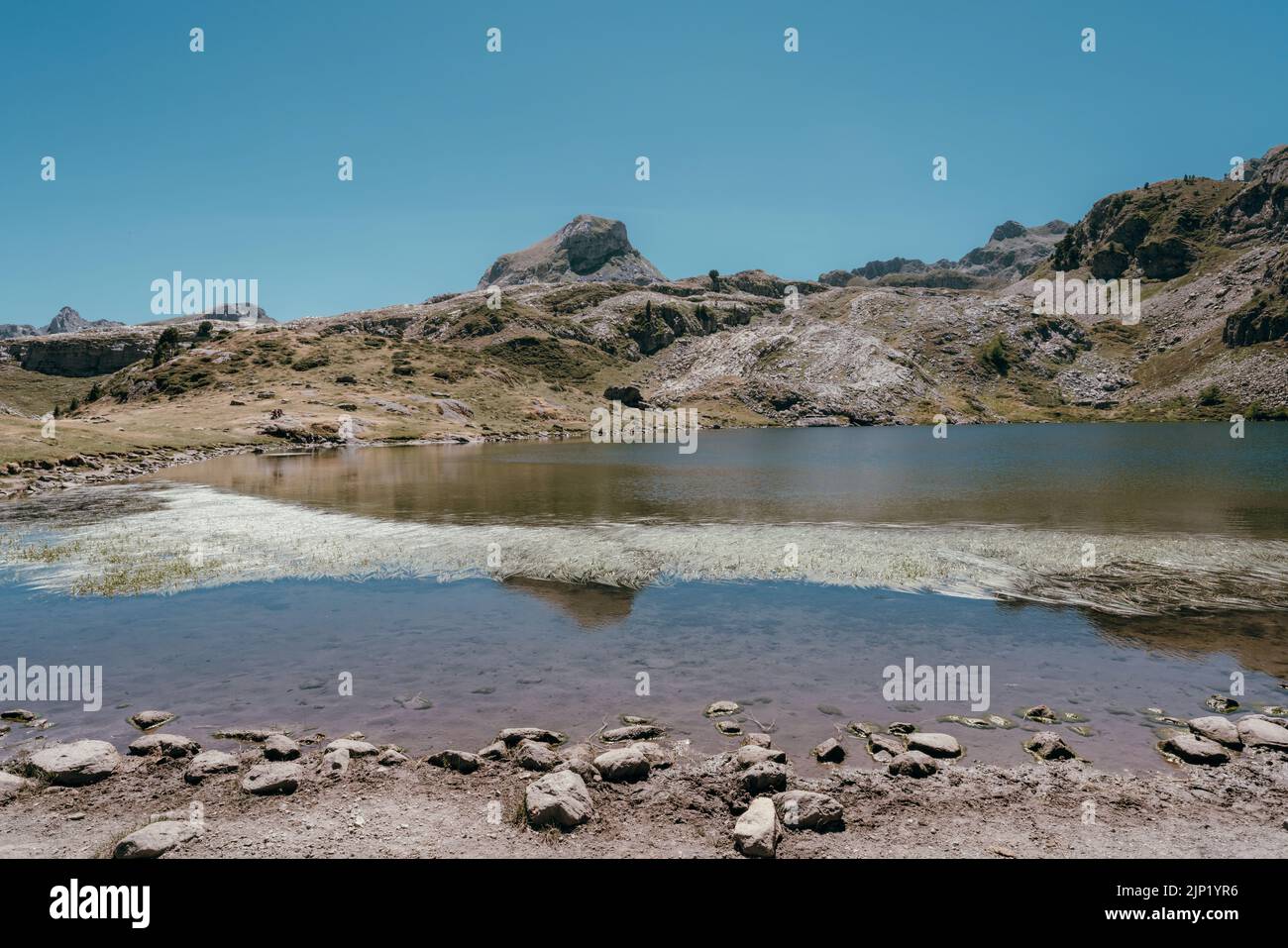 Natural landscapes of the lake, forest and mountains in the French ...