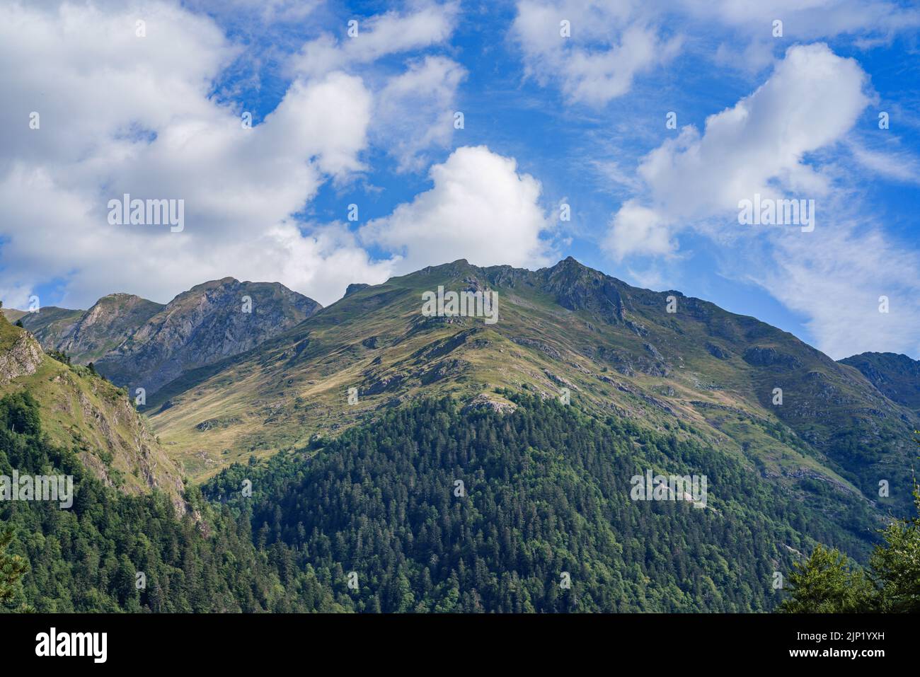Natural landscapes of the lake, forest and mountains in the French ...