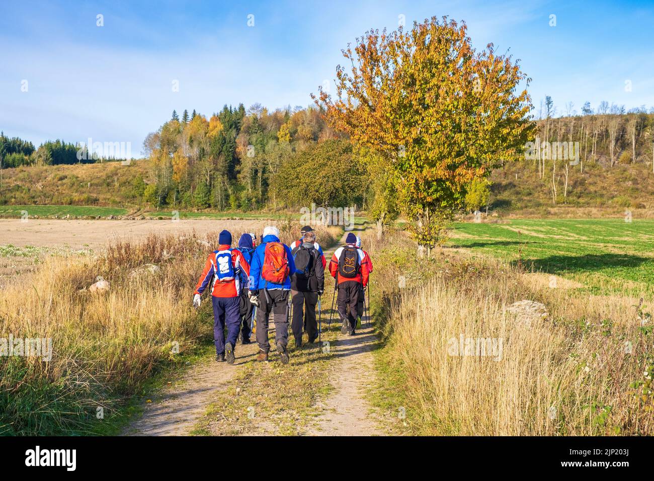 Group walking on country road hi-res stock photography and images - Alamy