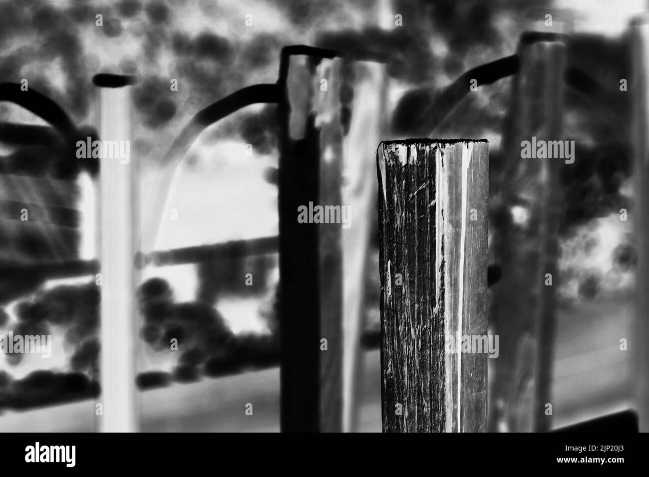 The tops of wooden garden stakes standing in the kitchen garden in ...