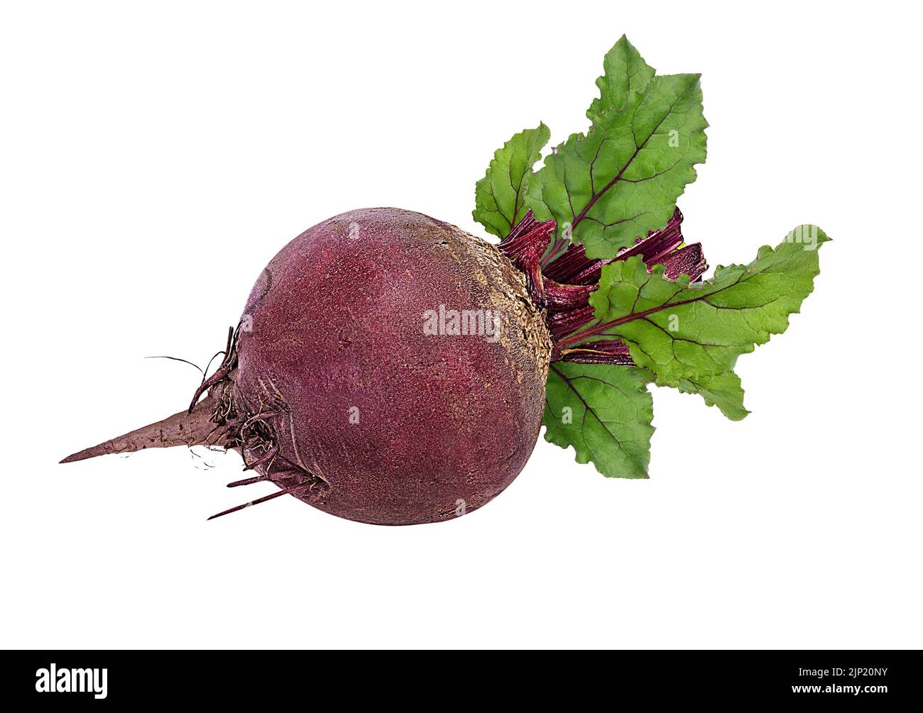 Beetroot with leaves isolated on white background Stock Photo - Alamy