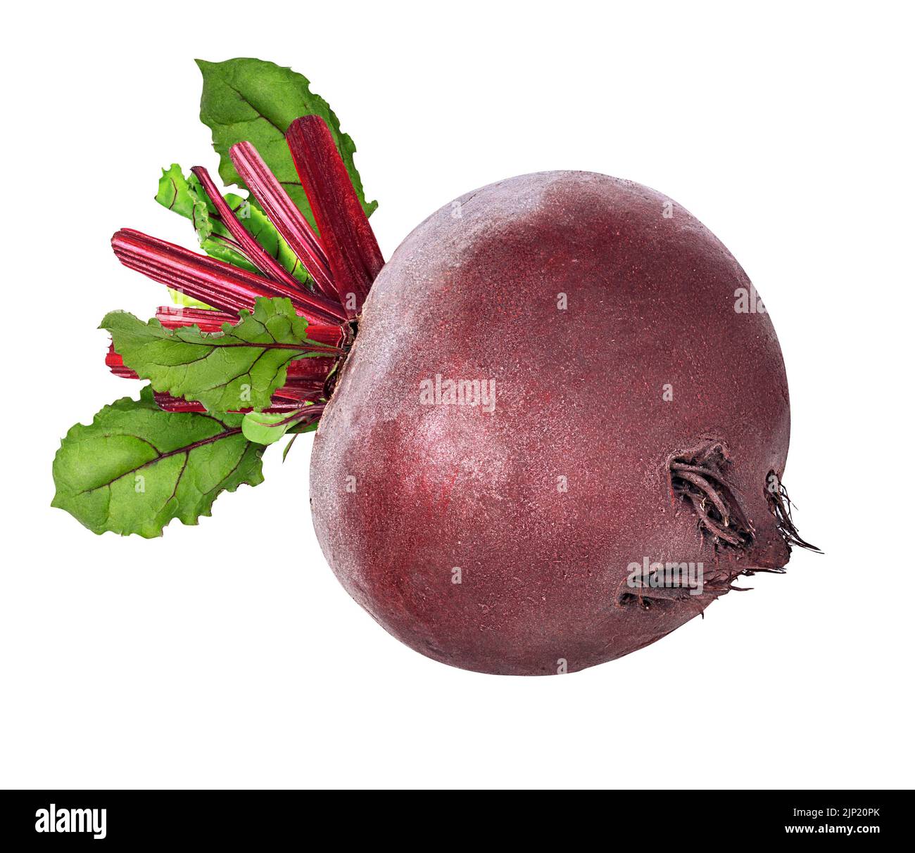 Beetroot with leaves isolated on white background Stock Photo - Alamy
